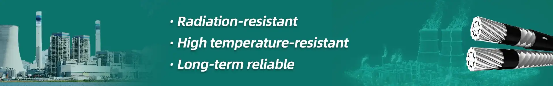 Nuclear power sensor - TST CABLES supplier & Manufacture